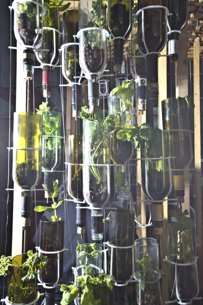 Skip Garden – Jan Kattein Architects | Architecture, planning ...